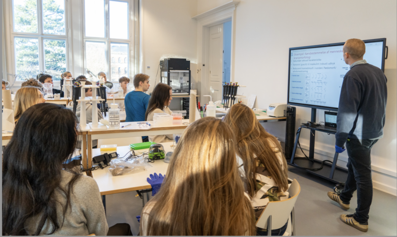 2024 – Gammel Hellerup Gymnasium